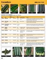 2025 CAD Commercial Vegetable Seed Catalog - Powered by PageTurnPro.com