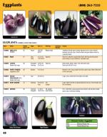 2025 CAD Commercial Vegetable Seed Catalog - Powered by PageTurnPro.com
