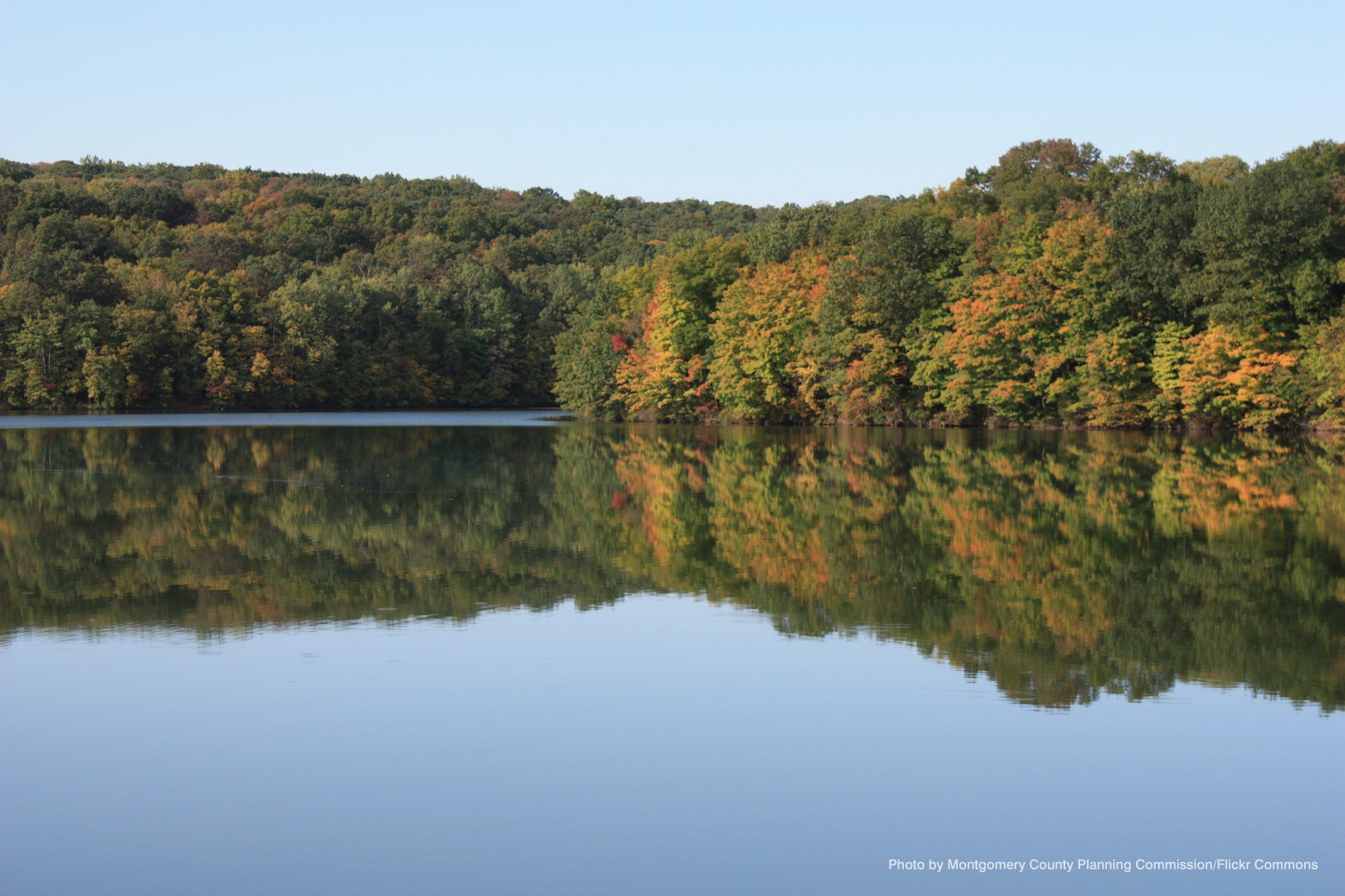 Conservation Atlas Spotlight - Unami Hills - Pennsylvania Highlands