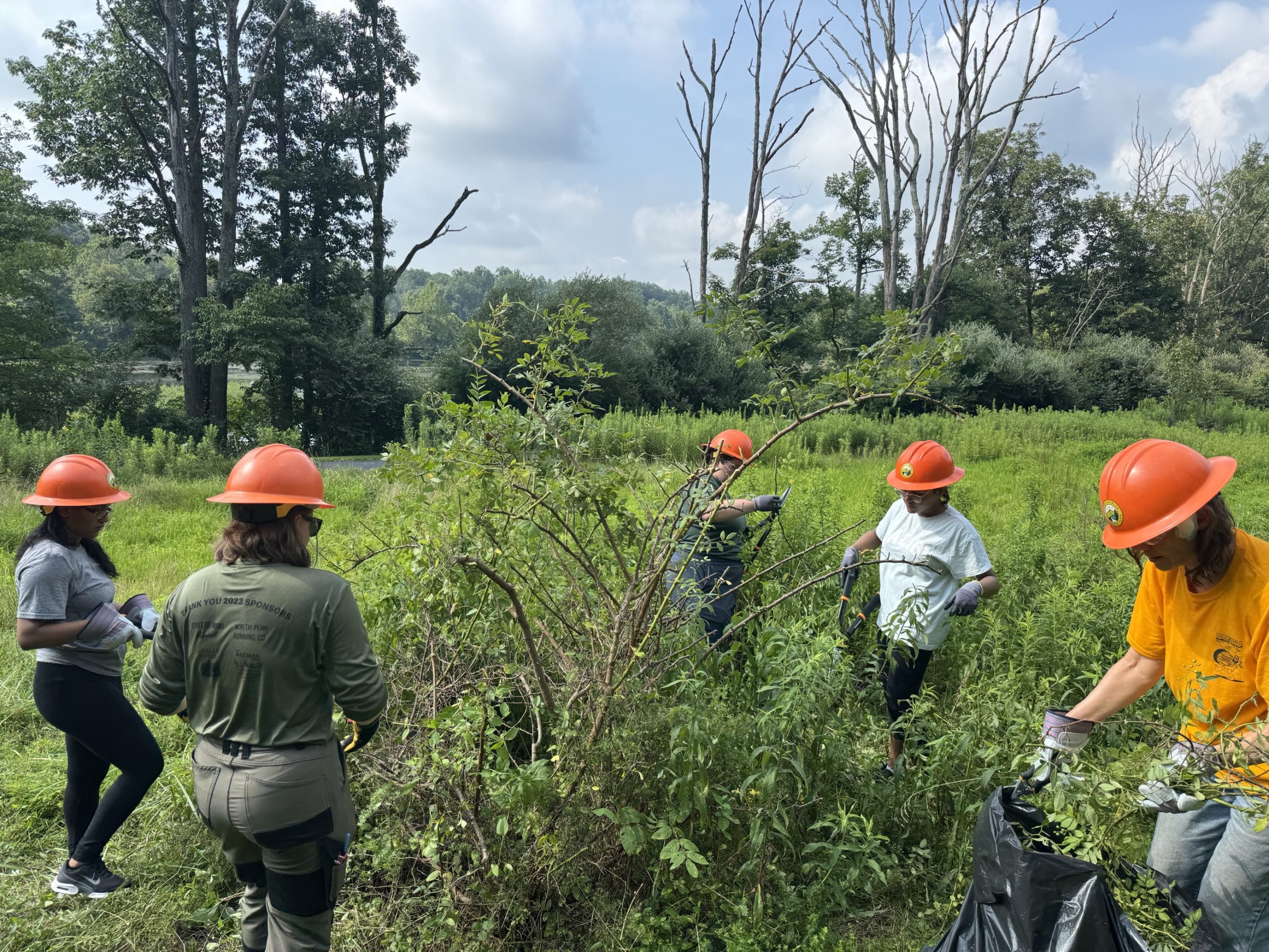 Removing Invasive Species on the Highlands Trail - Pennsylvania Highlands