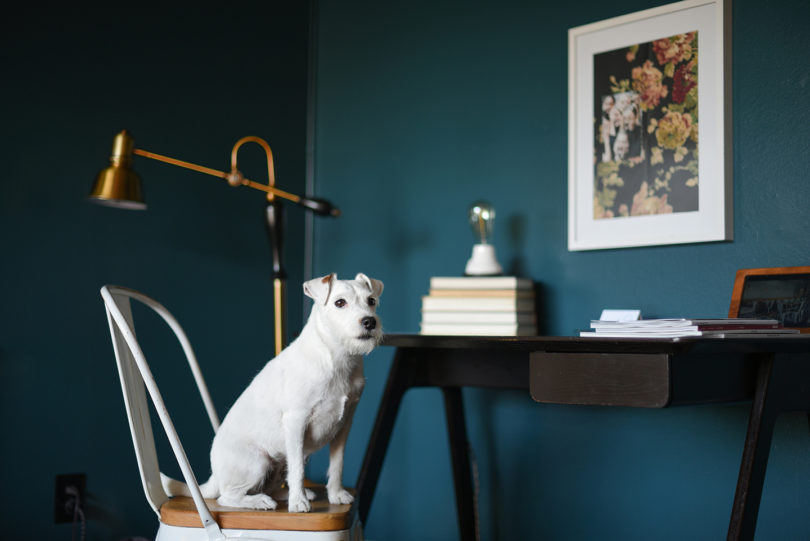 Hotel Rooms & Suites, Los Angeles | Palihotel Melrose Avenue