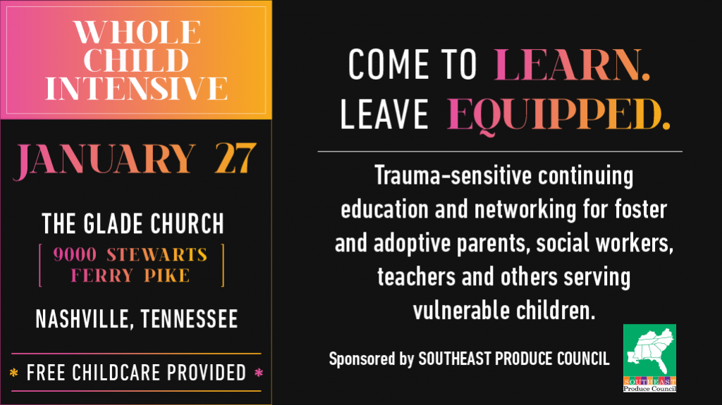 Trauma-Sensitive Training for Caregivers and Professionals - Palmer ...