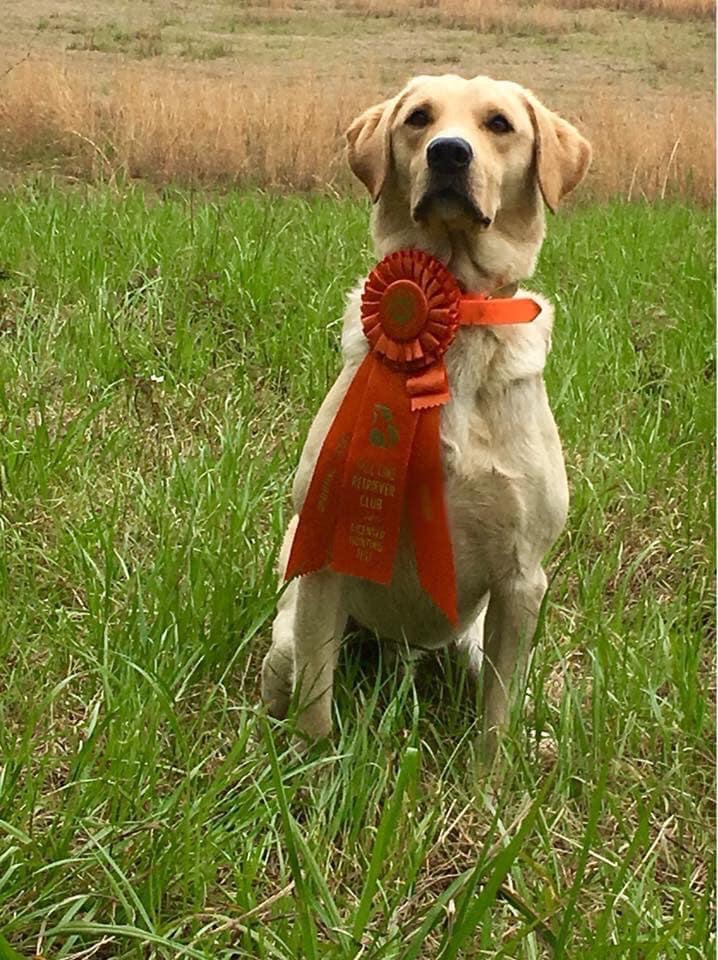Sporting Life Kennels: A Relationship Spanning Three Generations ...