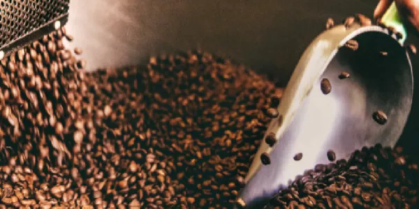 Grano - Caffè Mauro