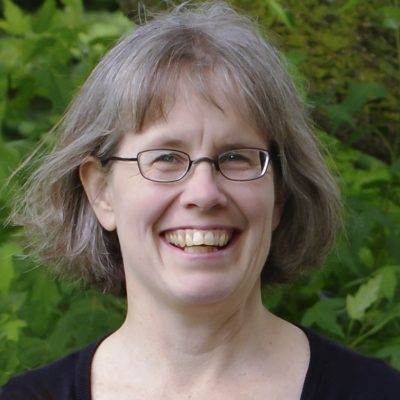 New city planner joins Falcon Heights – Park Bugle