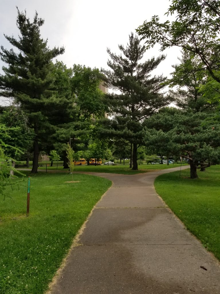 Horton Park is focal point for community – Park Bugle