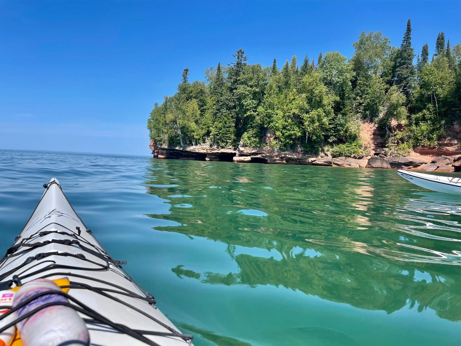A chestnut grows, flowers in St. Anthony Park – Park Bugle