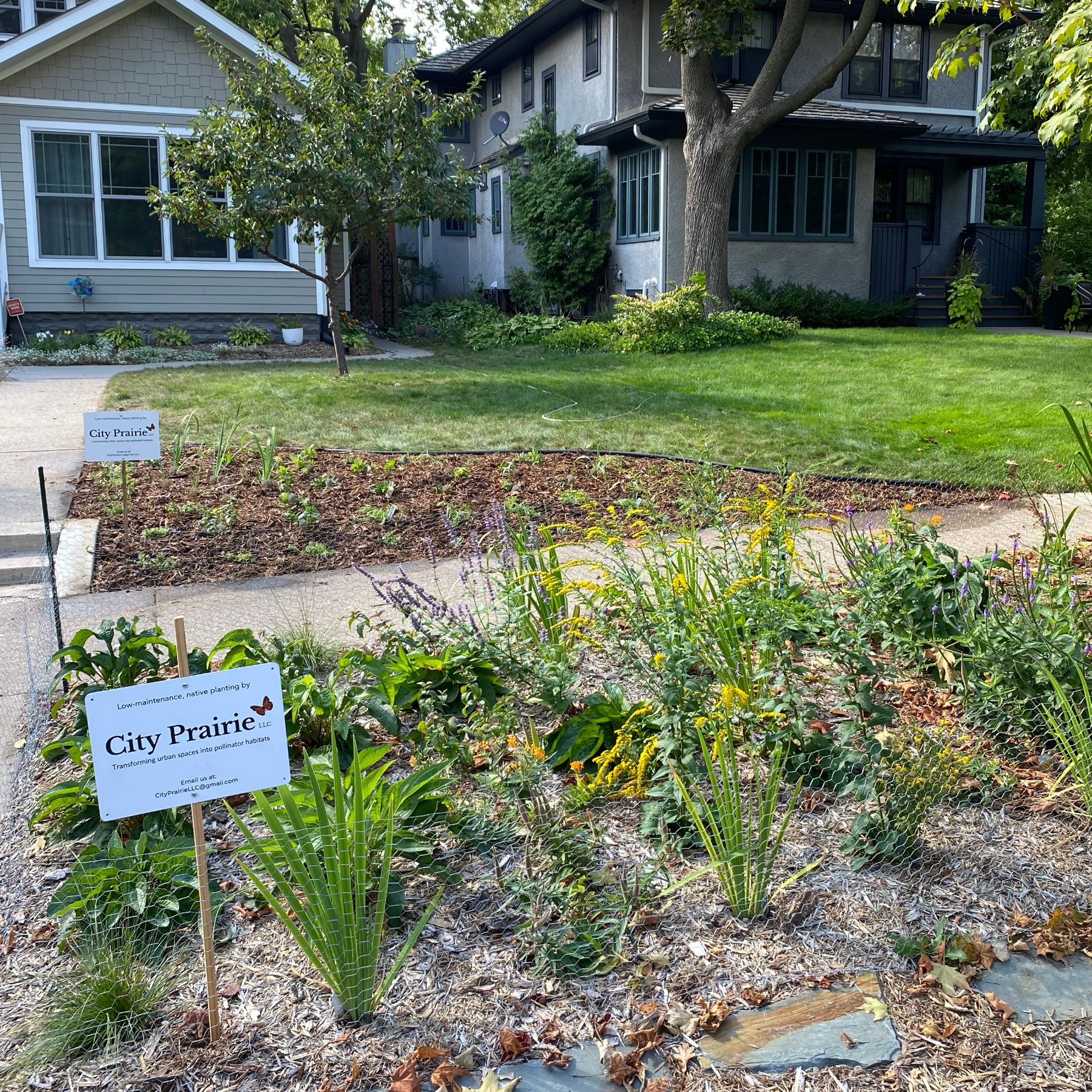 Becks launch City Prairie, planting native plants to help fight climate ...