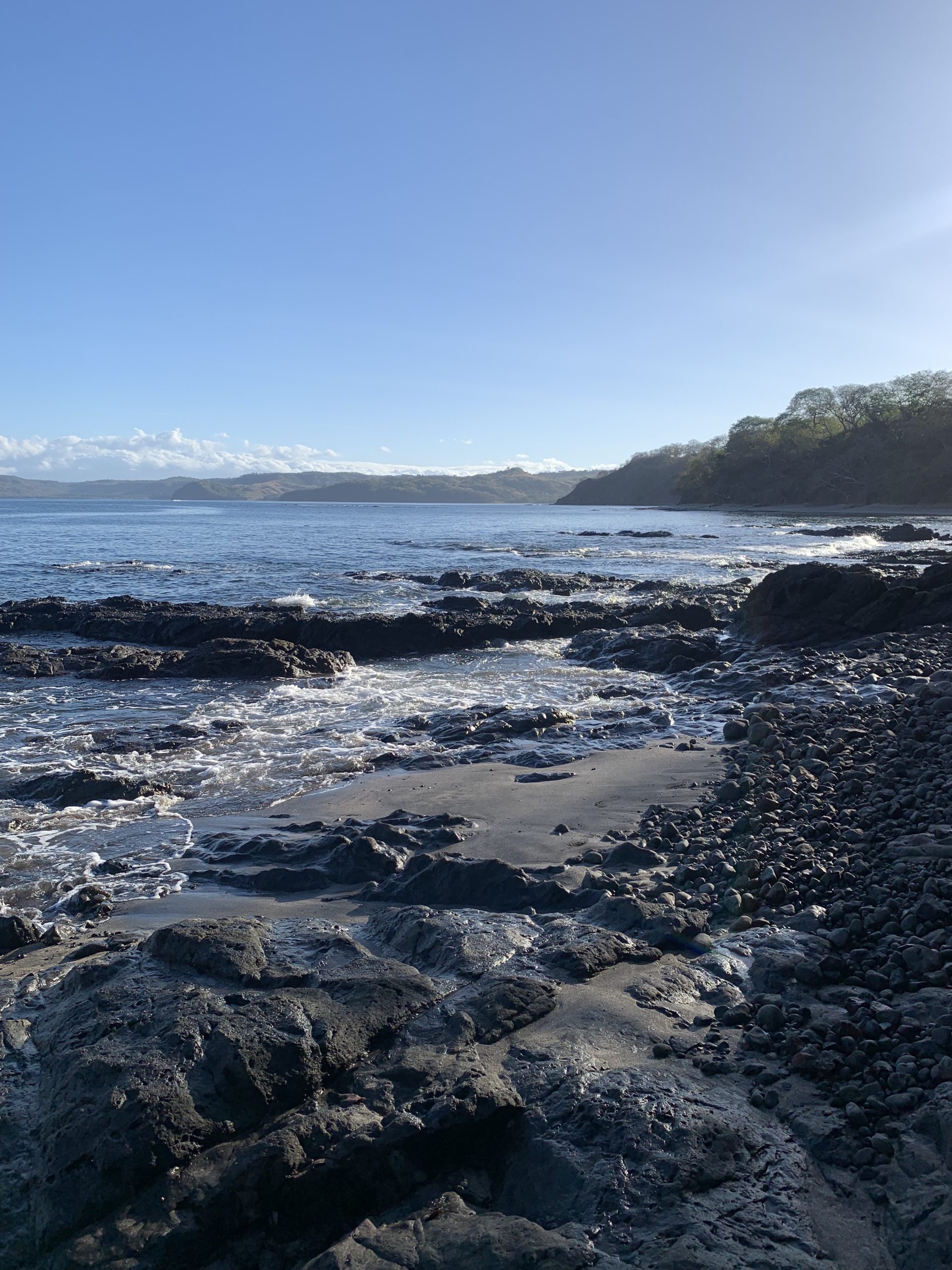 Park Bugle – The Bugle is a community newspaper serving St. Anthony ...