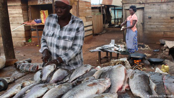 The participation of Uganda’s fisheries women in Integrated lake ...