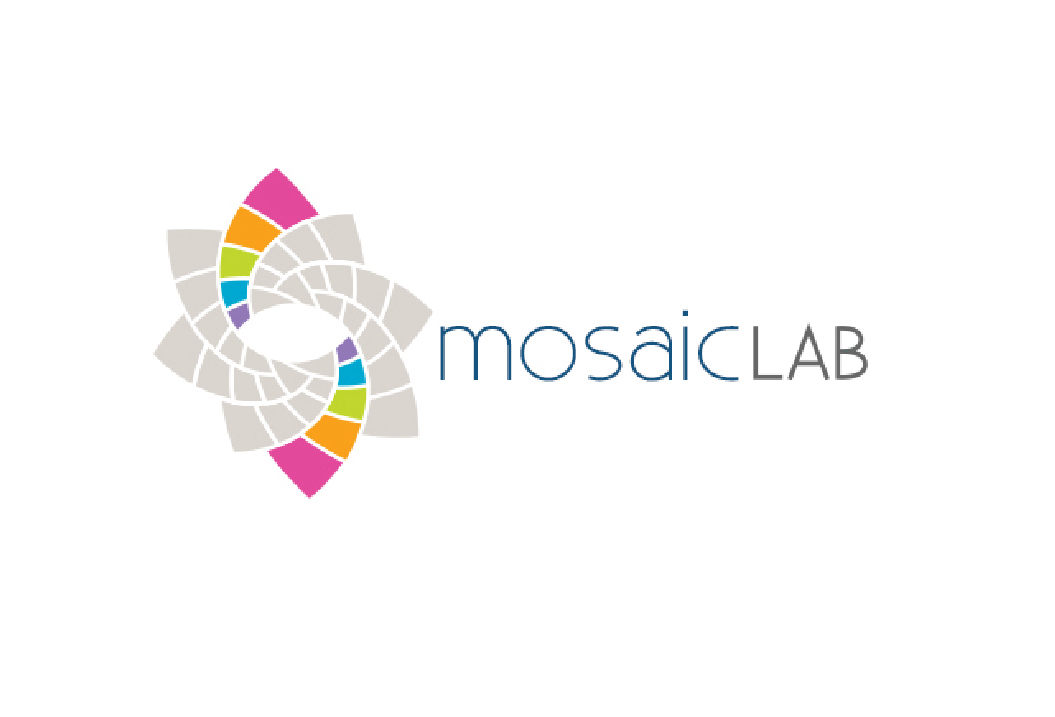 MosaicLab – Participedia