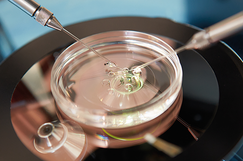 Mitochondria Replacement Multi-Method Research and Public Engagement ...