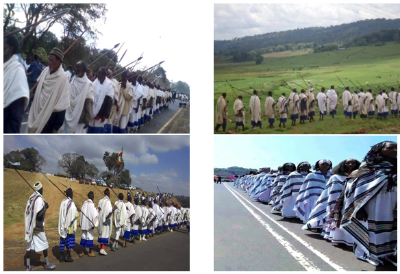 The Seventy-Fourth Gadaa General Assembly on Environmental Protection ...