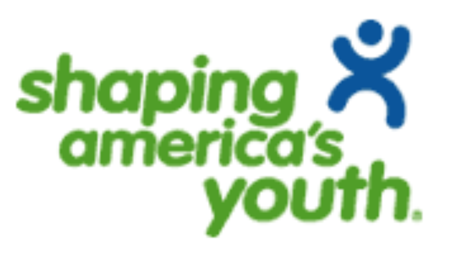 Shaping America's Youth (SAY) – Participedia