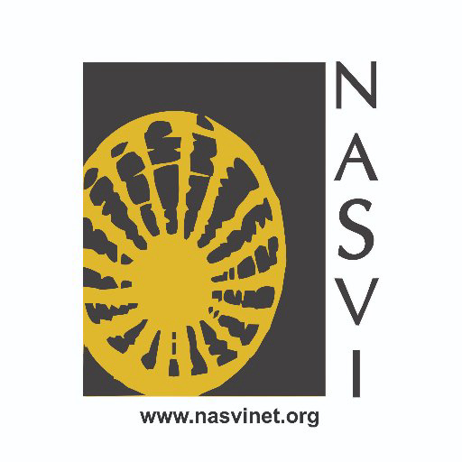 National Association of Street Vendor of Indian (NASVI) – Participedia