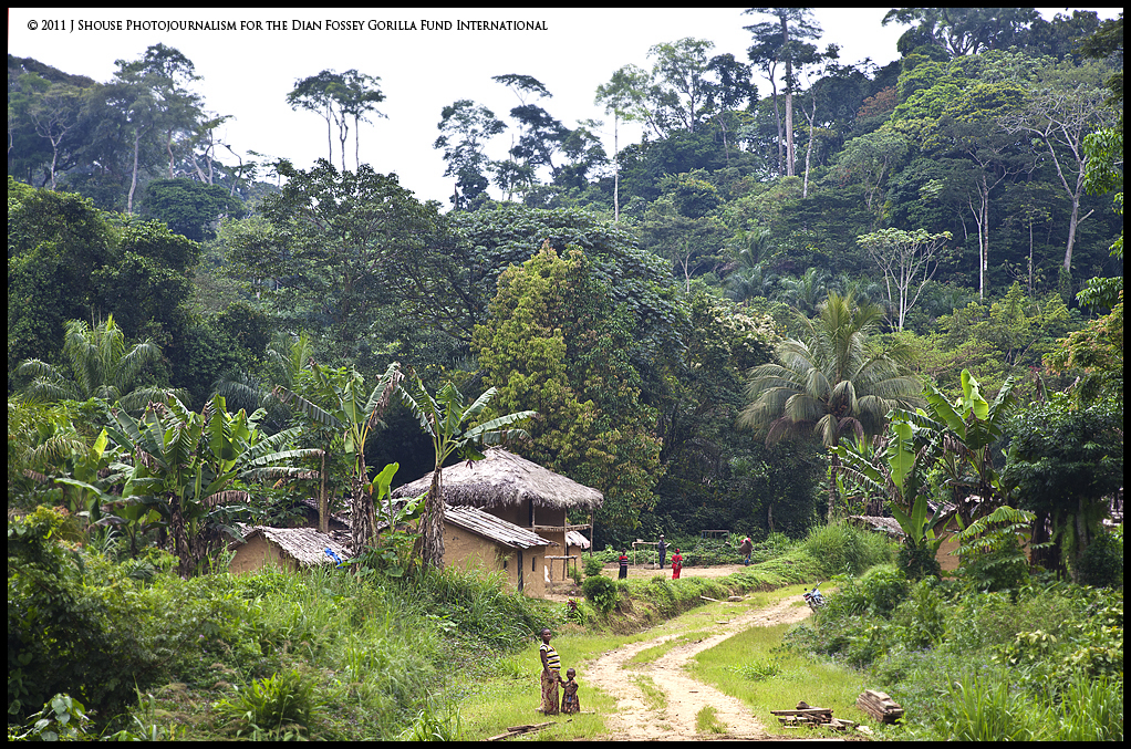 Community Forestry – Participedia