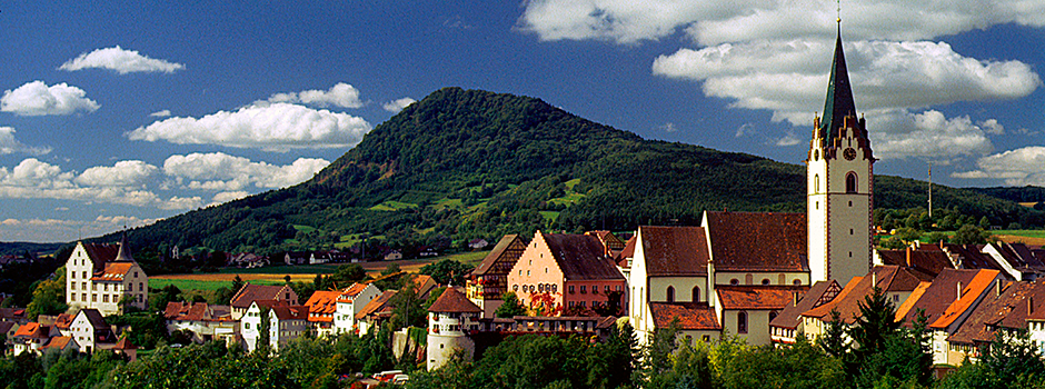 City of Engen – Participedia