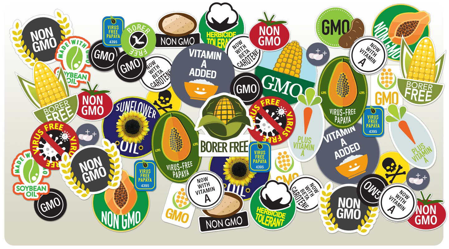 Japanese Consensus Conference on Genetically Modified Crops – Participedia