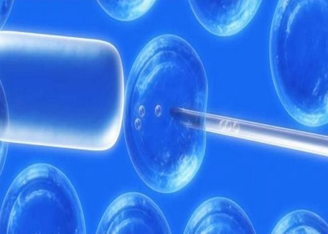 Public Consultation on Human-Animal Embryos for Research – Participedia