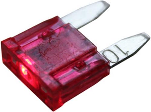10A Mini Led Blade Fuse Package of 5 Fuses