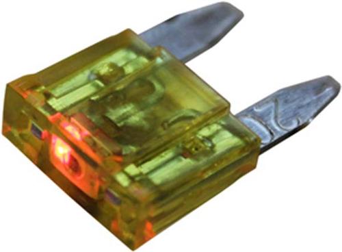 20A Mini Led Blade Fuse Package of 5 Fuses