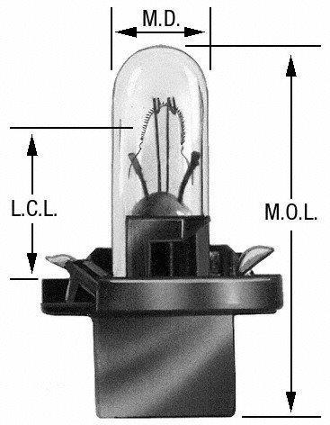 Socket Bulb