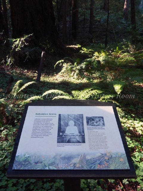 Bohemian Grove
