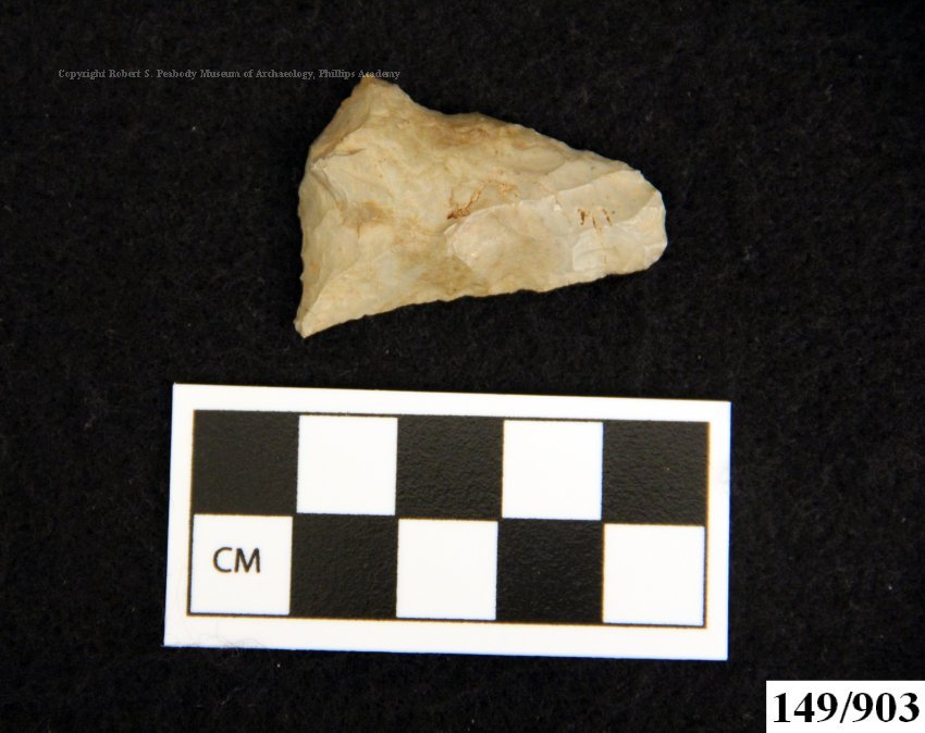 Northeastern Paleo Tool Forms | TreasureNet.com