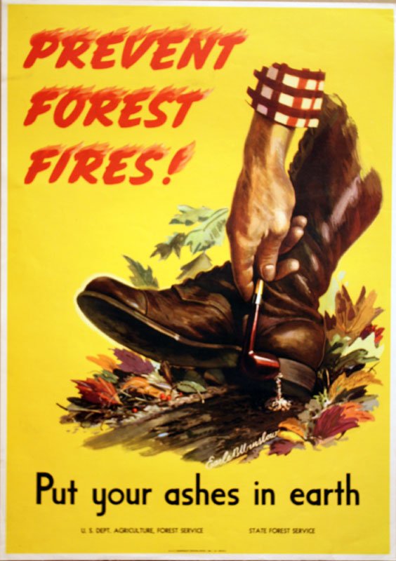 How To Prevent Forest Fires