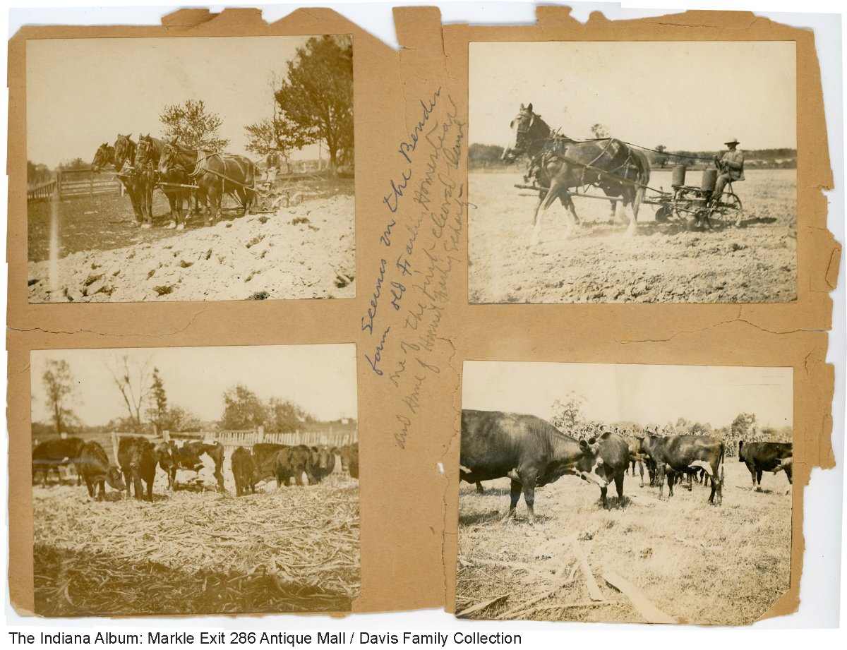 Davis family photo album page, scenes on the Bender farm, Markle ...