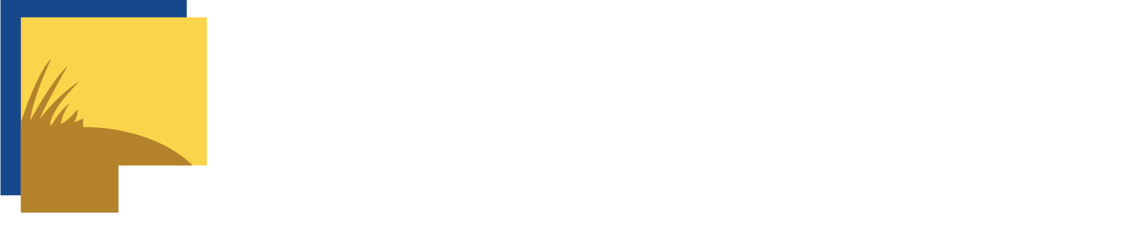 Ammen's Powder | McLeod County Historical Society