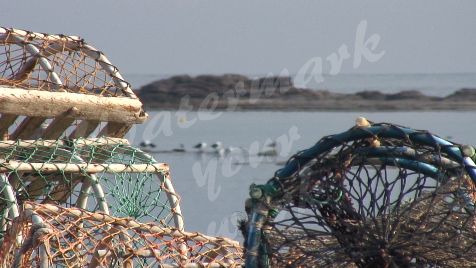 Power Tip: Watermark Your Video Editing Work - The Beat: A Blog by ...