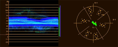 Video Essentials: How to Read a Vectorscope and Waveform Monitor - The ...