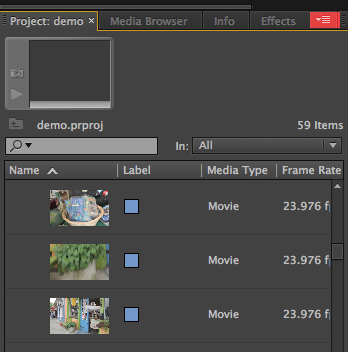Premiere Pro Tips: Project Panel - The Beat: A Blog by PremiumBeat