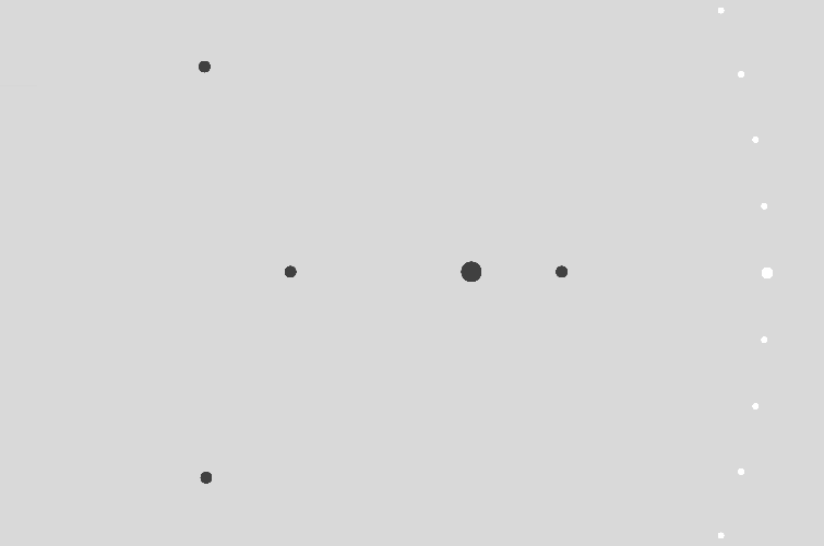 5 FREE Animated Fonts from Animography! This Week Only!