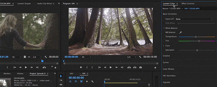 Improve Your Footage by Adding Vignettes in Post-Production