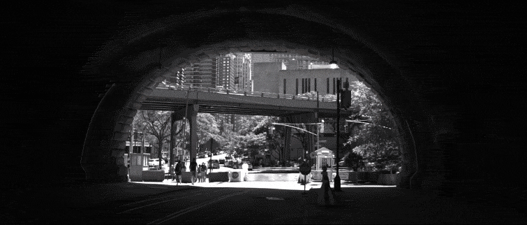 5 Ways to Use a Gimbal to Capture Cinematic Footage