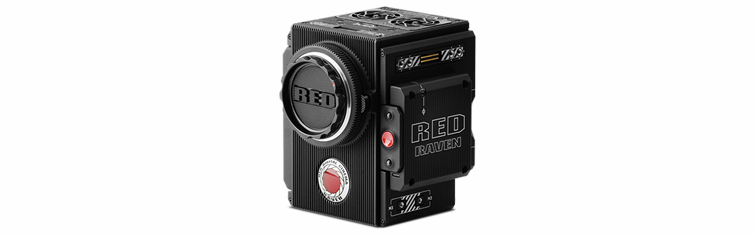 The 5 Best Cameras to Rent or Buy for Any Video Shoot