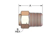 STRAIGHT PTC BRASS FITTING 1/8" TUBE X 1/16" M. PIPE