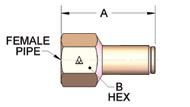 STRAIGHT PTC BRASS FITTING 1/4" TUBE X 1/4" F. PIPE