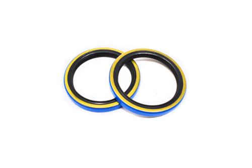 Extreme Cam Seals Kit of 2)