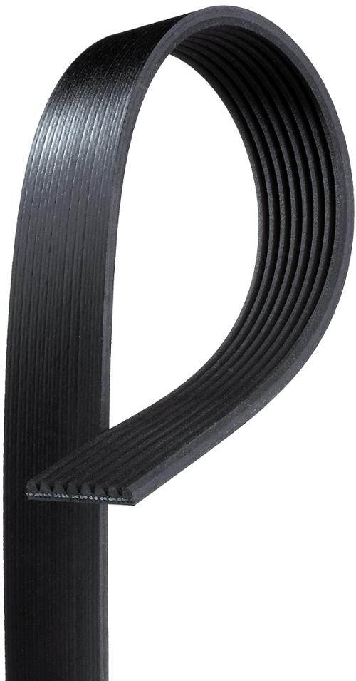 K08 1 3/32" x 62 5/8" Automotive V-Ribbed Belt