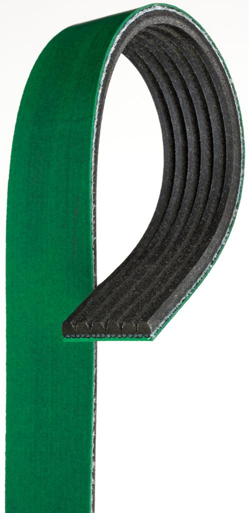 K06 13/16" x 56 1/2" Automotive V-Ribbed Belt