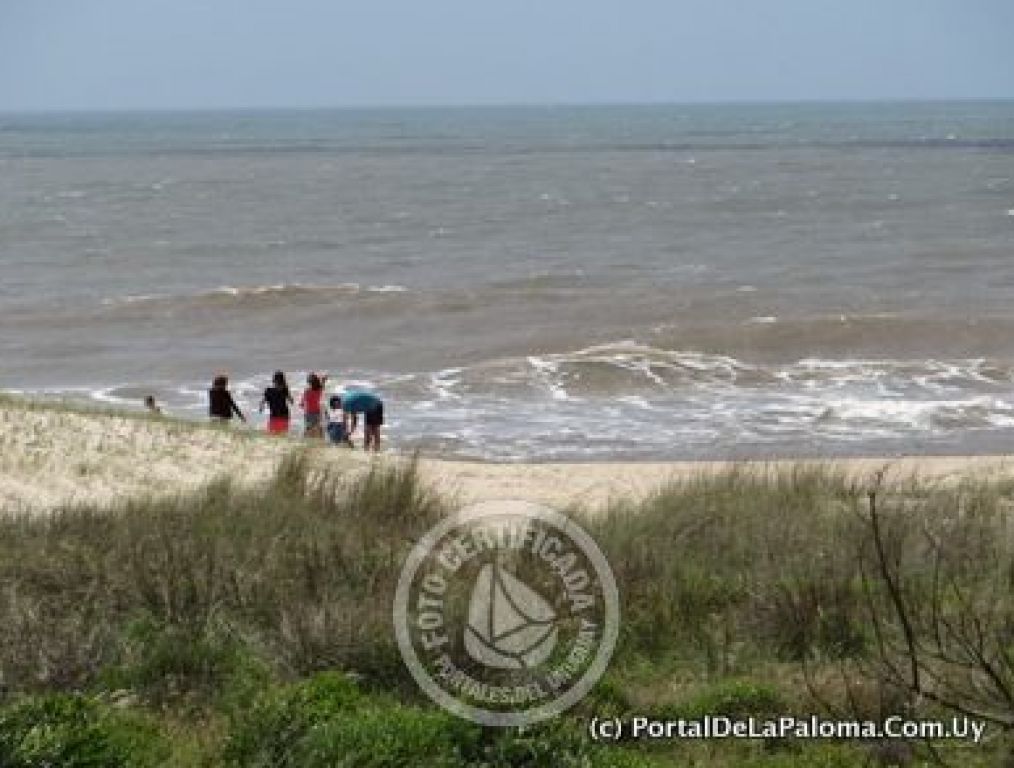 Arachania, La Paloma, La Paloma y balnearios cercanos, Rocha, Uruguay ...