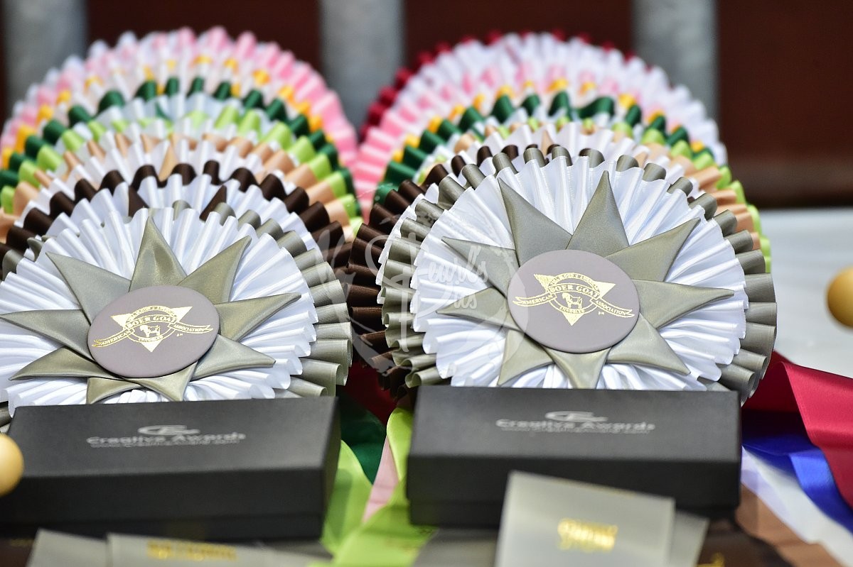 2018 ABGA National Boer Goat Show || Shows and Fairs || pearlspics.com