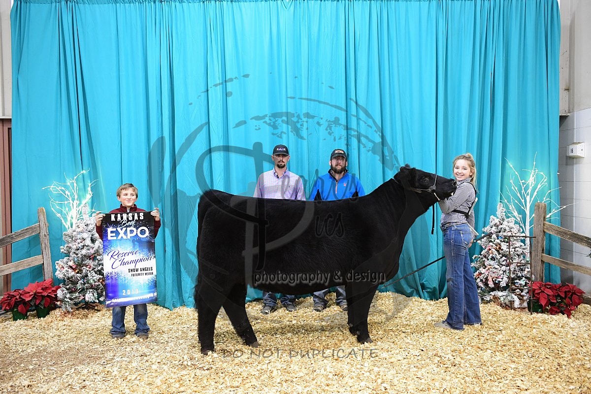 2019 Kansas Beef Expo || RING SHOTS || Steer Ringshots || Shows and ...