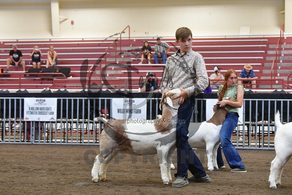 2022 JABGA & ABGA National Show || Shows and Fairs || pearlspics.com