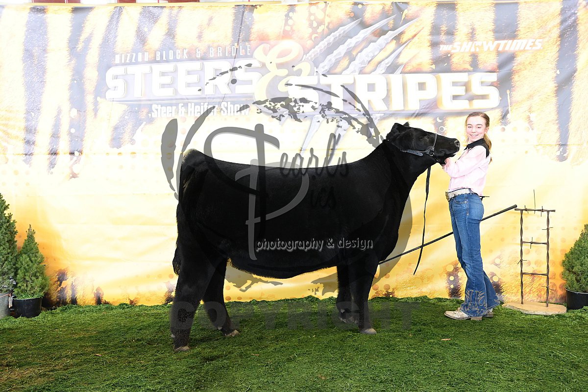 2023 Steers and Stripes || Shows and Fairs || pearlspics.com