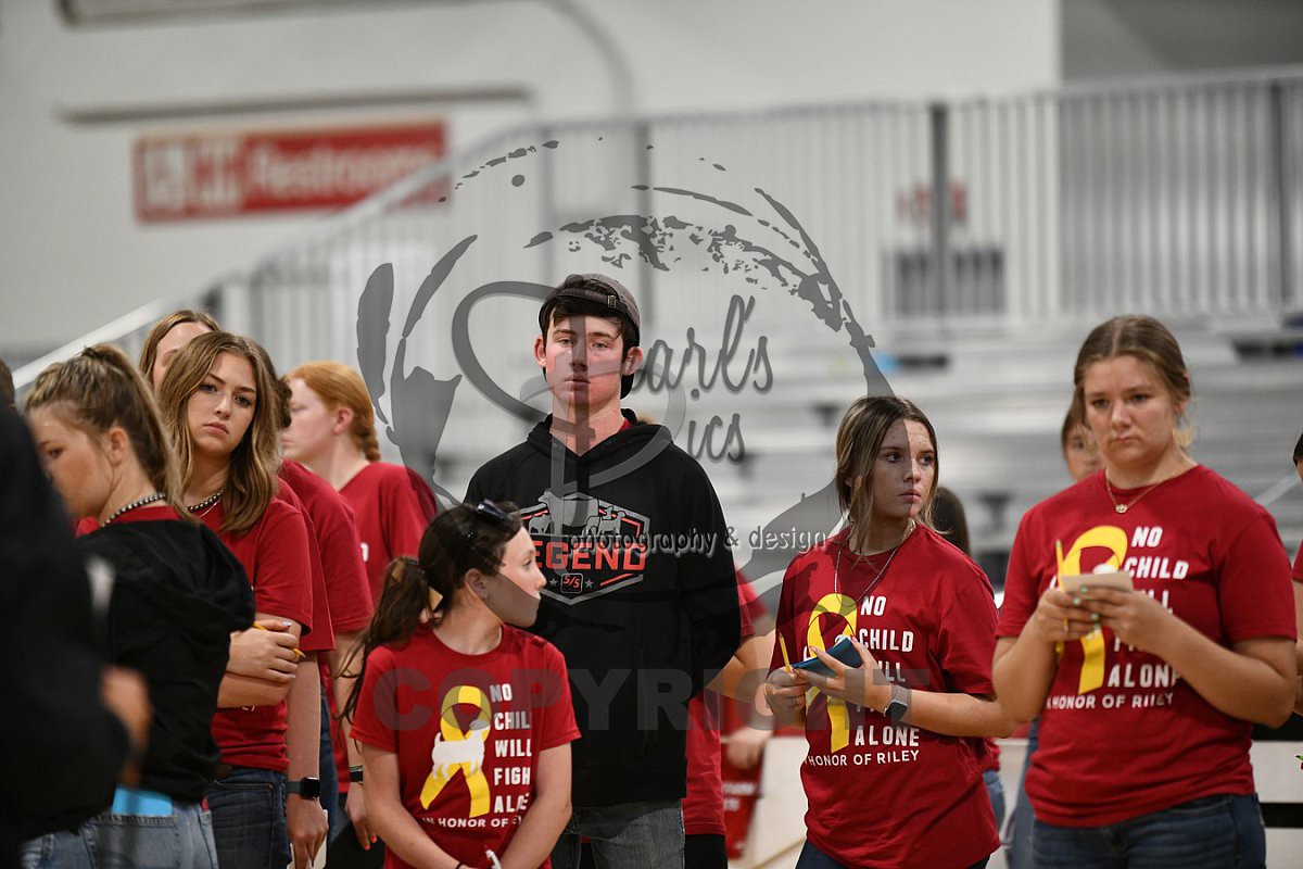 2024 JABGA ABGA National Show || Special Sessions || Shows and Fairs ...