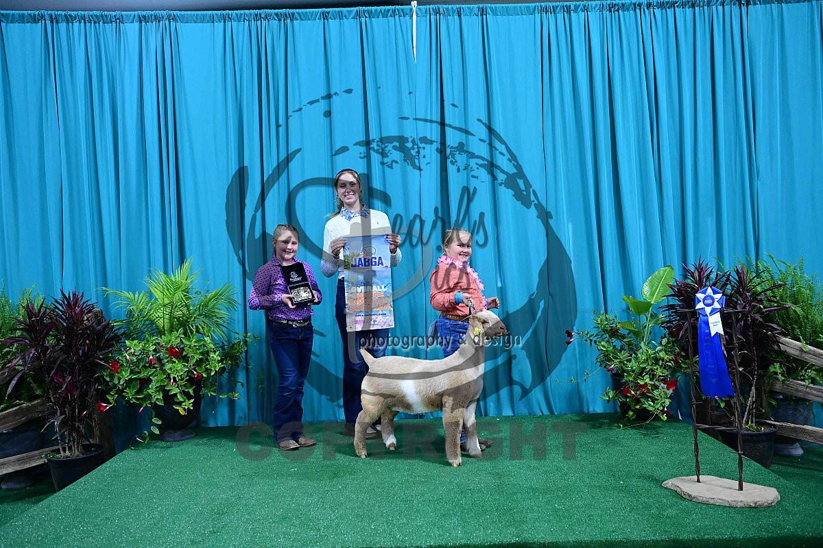 2025 ABGA JABGA National Show || JABGA and ABGA Overall Awards || Shows ...